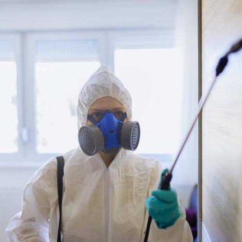 About Us - Dragon Pest Control Canada